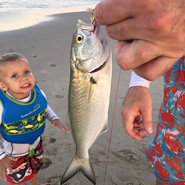 Dam Neck Naval Base - Military Base in Virginia Beach