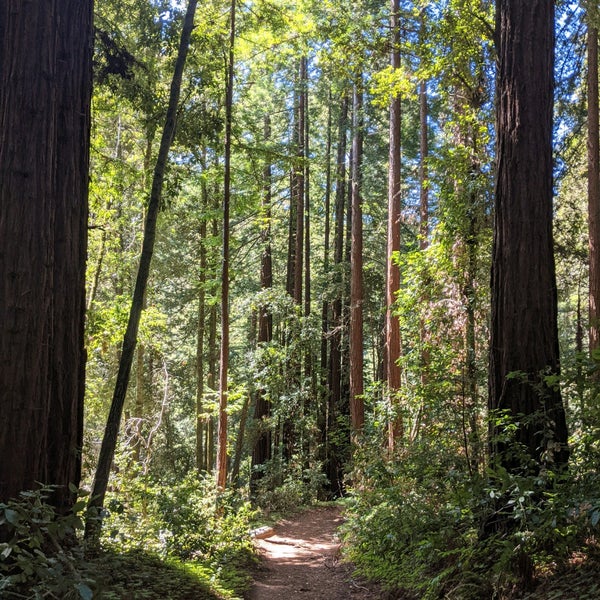 Land of Medicine Buddha - 4 tips