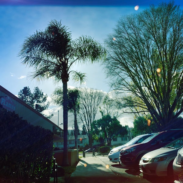 Flames Coffee Shop & Bakery - Coffee Shop in Los Paseos