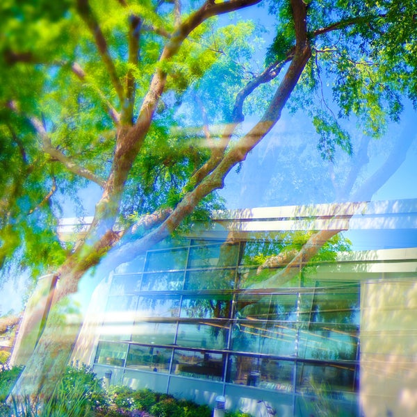 Evergreen Branch Library - Evergreen - 2635 Aborn Rd