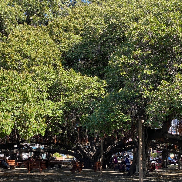 Lahaina, HI - 23 tips