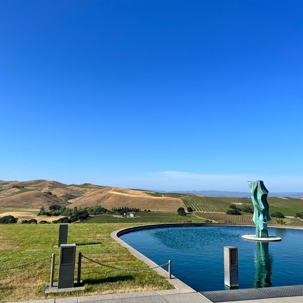 Artesa Vineyards & Winery - 91 tips from 8204 visitors
