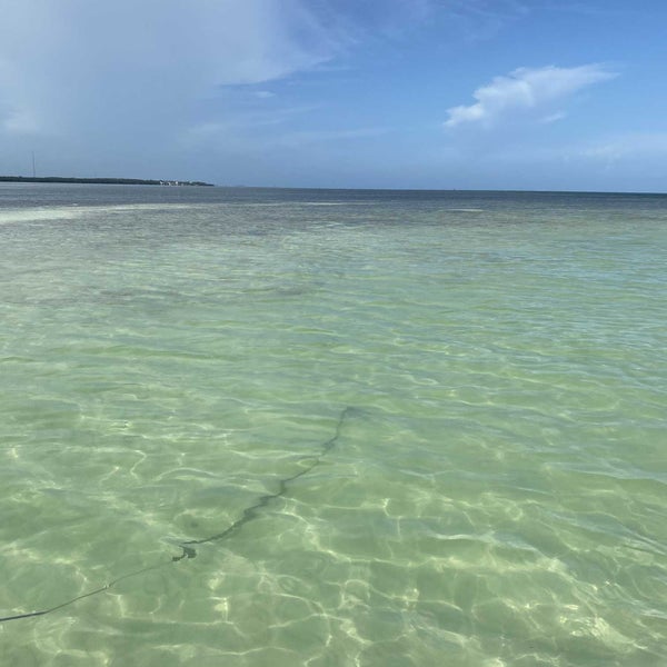Islamorada Sand Bar - Beach