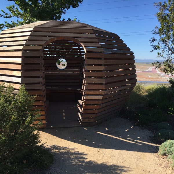 Facebook Green Roof - Facebook Building 20