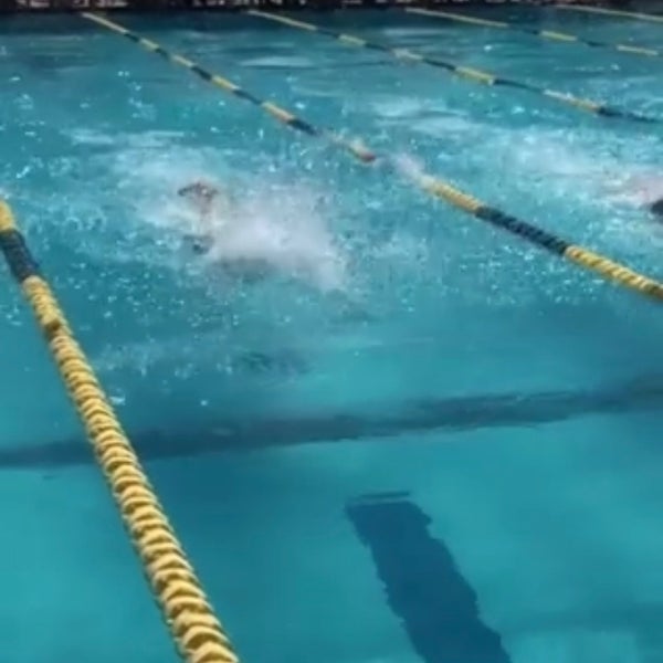 Hornsby Aquatic Centre - Swimming Pool