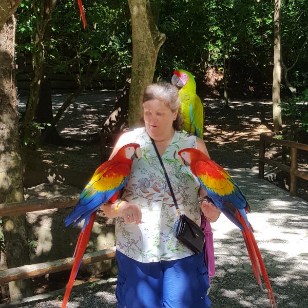 Gumbalimba Park - Zoo