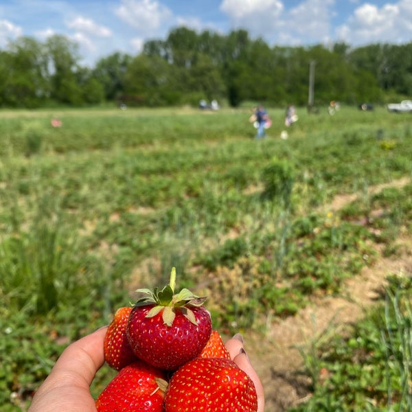 Fulton Farms - 3 tips from 301 visitors