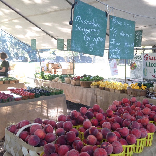 Photos at Forsyth Farmers Market - Historic District-South - Savannah, GA