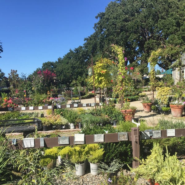 Photos at Alden Lane Nursery - Livermore-Pleasanton, CA