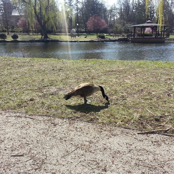 Photos at Cooper's Pond - Park