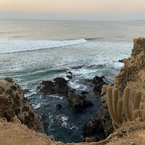 Punta de Lobos - 92 tips from 4040 visitors