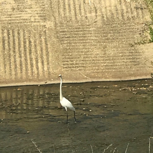 Oxon Run Park - Park in Congress Heights