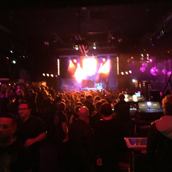 Universal DOG - 1 tip