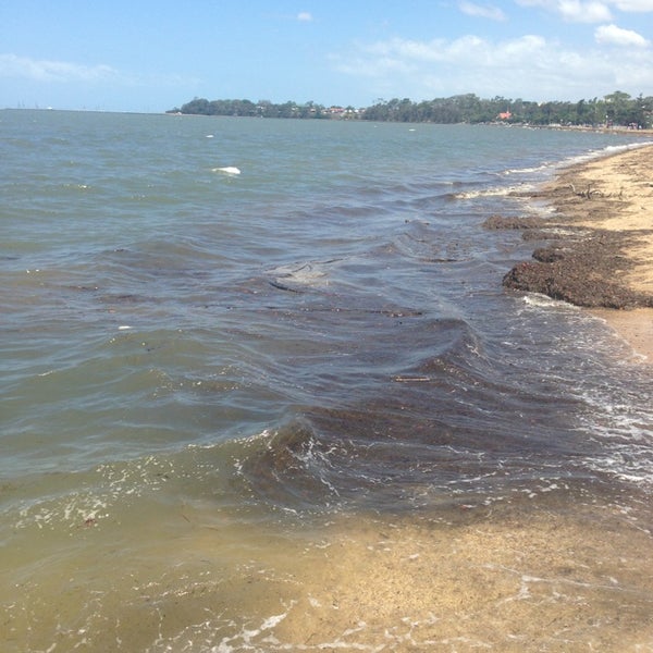 Arthur Davis Park Beach Front - 182 Flinders Parade