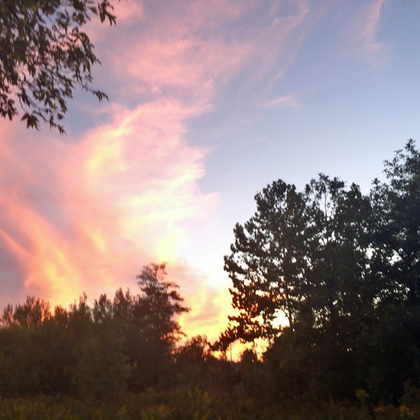 Comfort Inn - 1 tip from 53 visitors