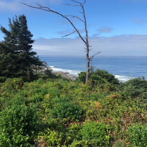 Cape Perpetua Scenic Area - 2 tips
