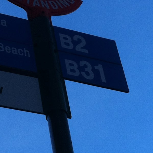 MTA Bus - B2/B31/B49LTD/BM3 - Bus Station in Brooklyn