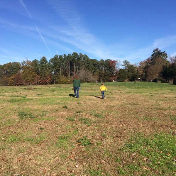 Bandy Field - Three Chopt - 2 tips