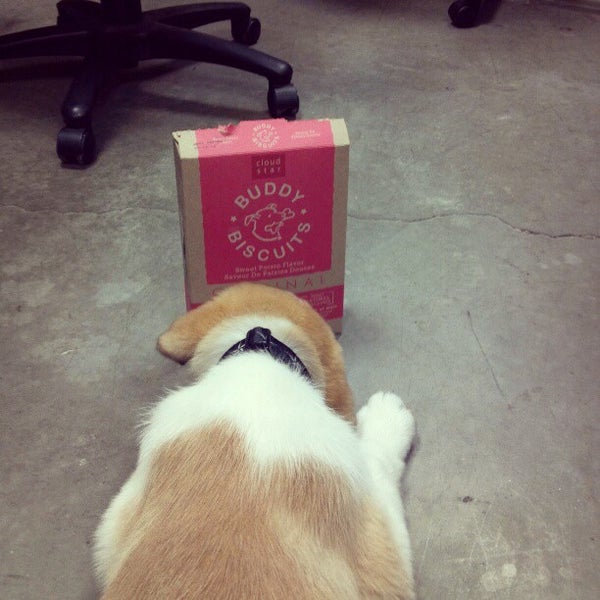 Photos at Fox Tower Offices - Buildings in Portland