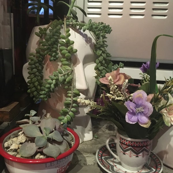 Café el Cerezo - Ciudad de México, CDMX