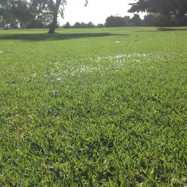 Elsternwick Golf Club - Golf Course