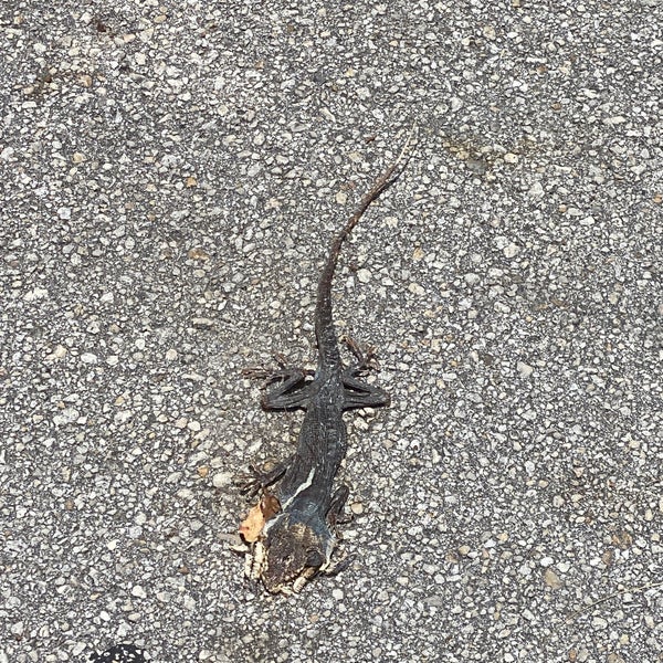 Tamarac Public Library - Fort Lauderdale, FL