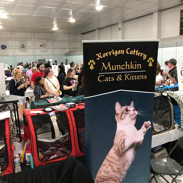Simoni Rink - Skating Rink in Cambridge