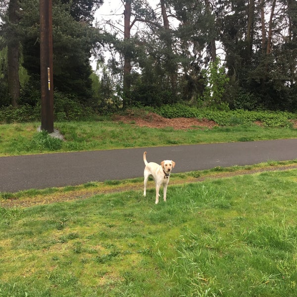 Interurban Trail North - Bitter Lake - Seattle, WA