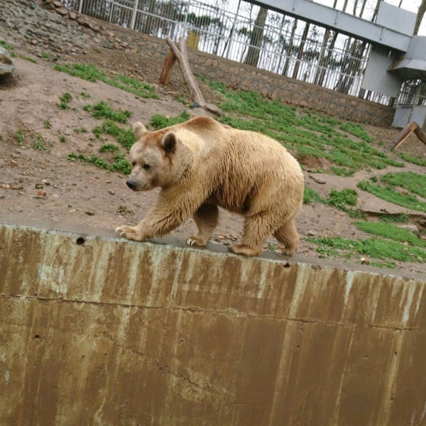 Photos at Tehran Zoo | باغ وحش تهران - منطقه ۵ - Eram Park