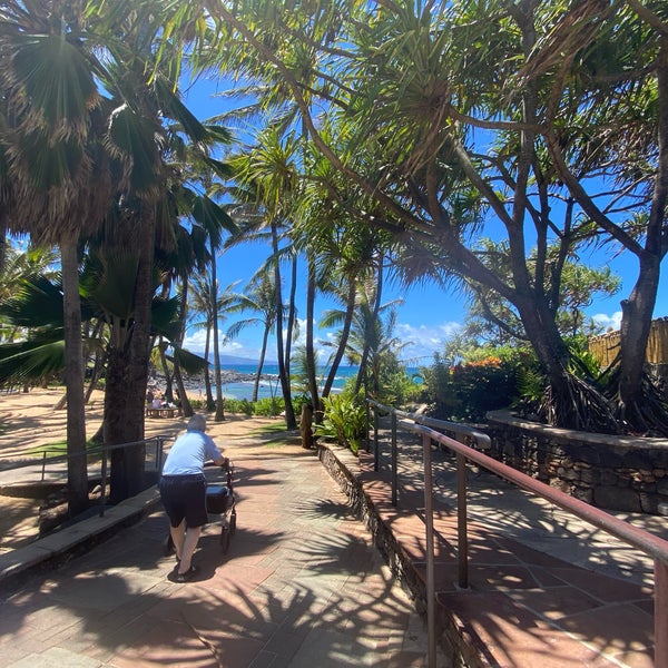 Mama Fish House Beach - paia