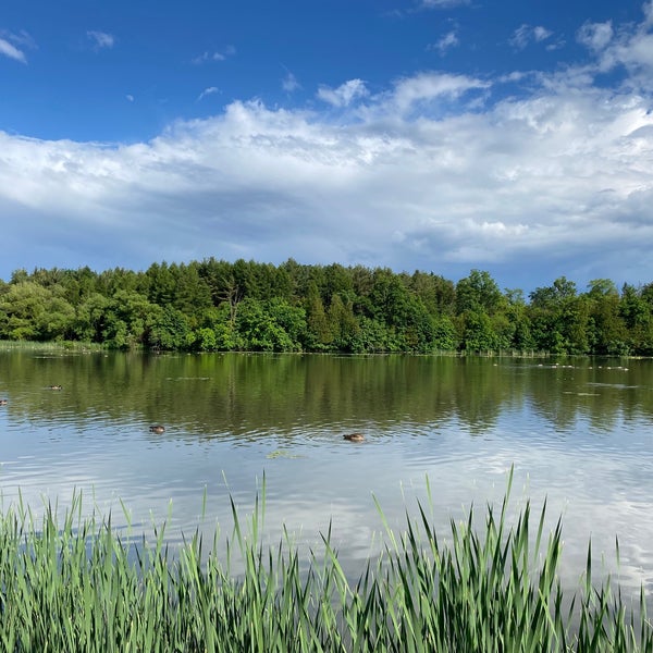 Milne Dam Conservation Park - Park