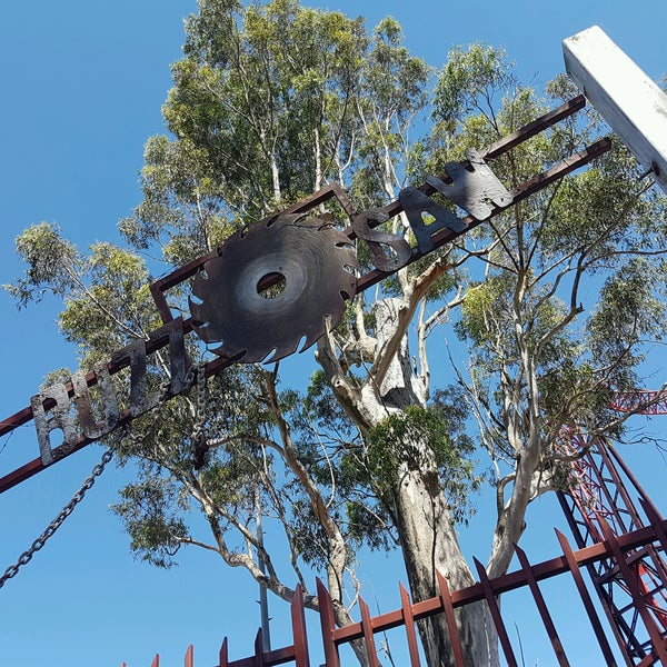 Buzzsaw - Coomera, QLD