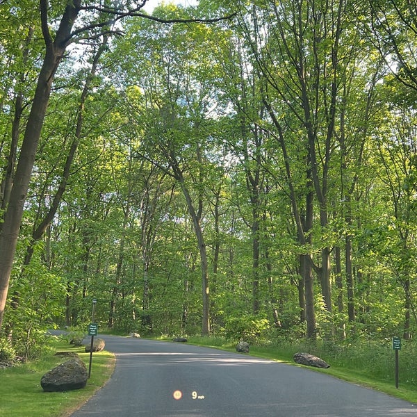 Center Parcs - 40 tips from 1555 visitors