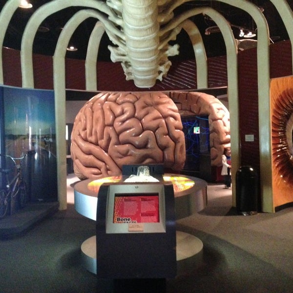 Health Museum of Houston - Houston, TX