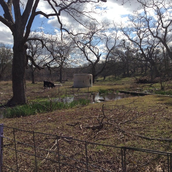 Photos at Crockett Gardens And Falls - Georgetown, TX