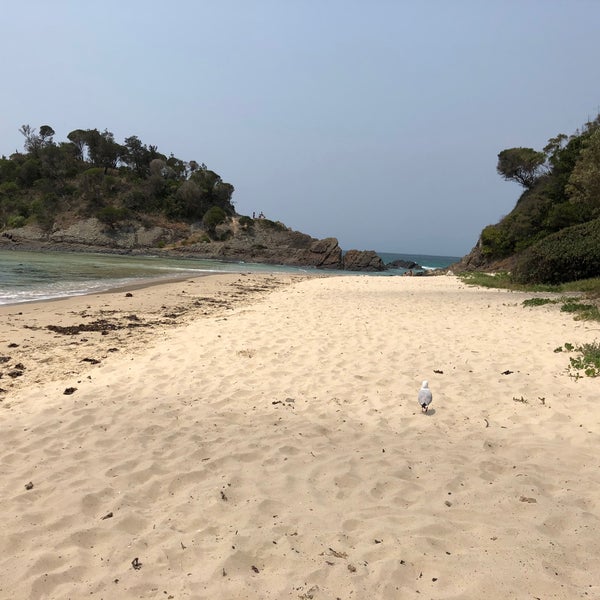 Seal Rocks - Other Great Outdoors