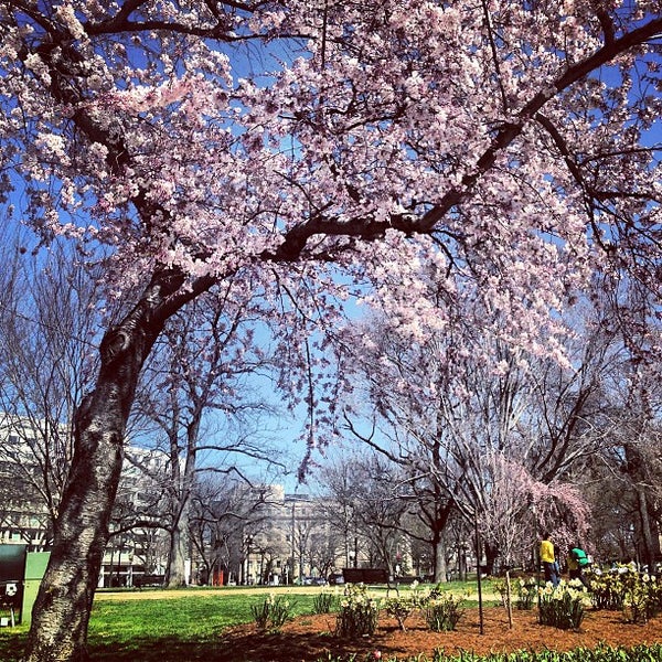 U.S. Capitol West Lawn - Northwest Washington - Washington, D.C.
