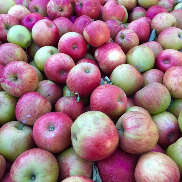 Photos at Patterson Orchards - New Berlin, WI