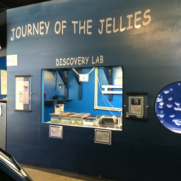 The SEA Lab - Zoo Exhibit in South Redondo Beach