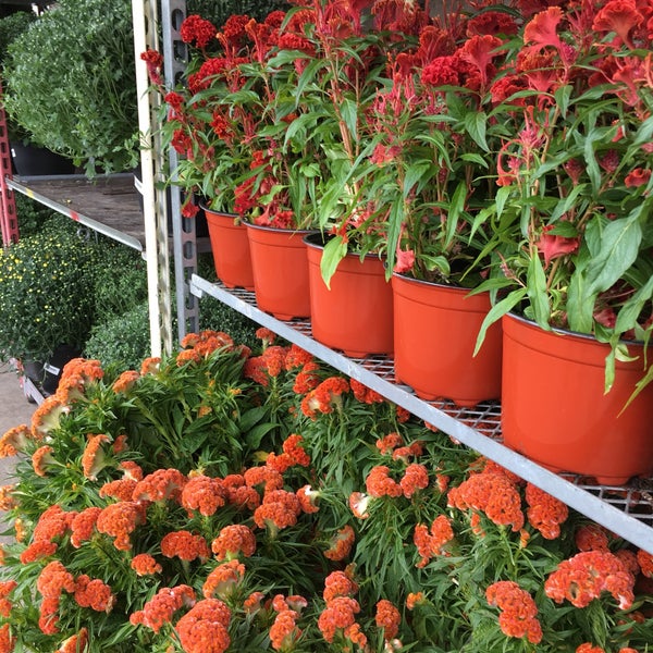 Photos at ShopRite of Woodbridge - 38 tips