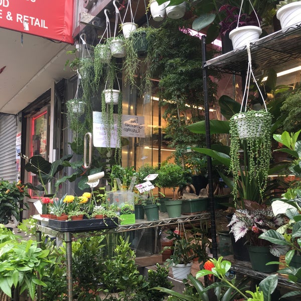 Manhattan Florist, Inc. - Chinatown - New York, NY