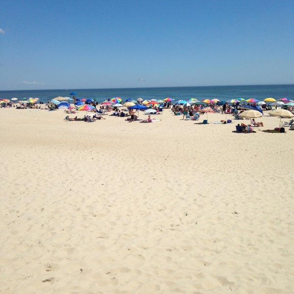 Are Dogs Allowed At Tower Beach Delaware