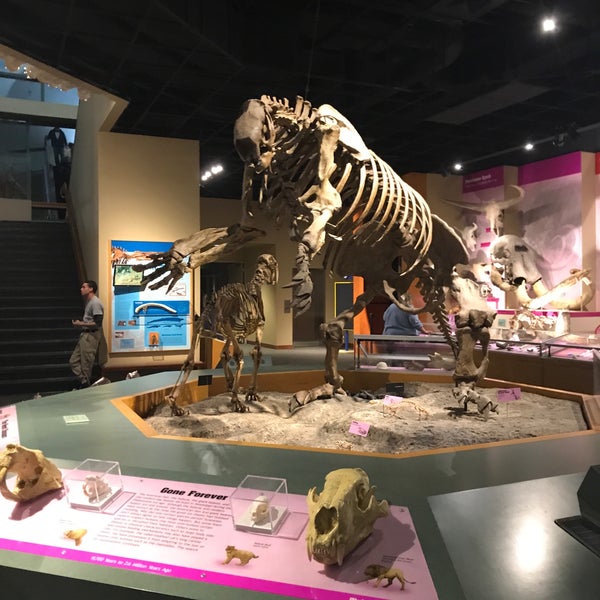 Mississippi Museum of Natural Science - Science Museum
