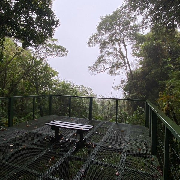 Reserva Bosque Nuboso Santa Elena - Nature Preserve