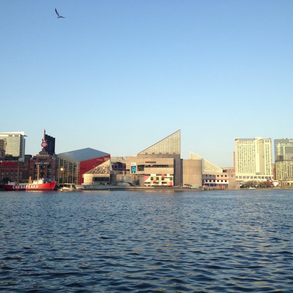 Baltimore Harbor - Harbor or Marina in Baltimore