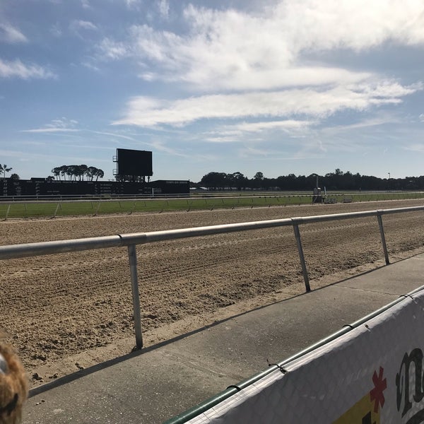 Photos at Tampa Bay Downs - Race Track