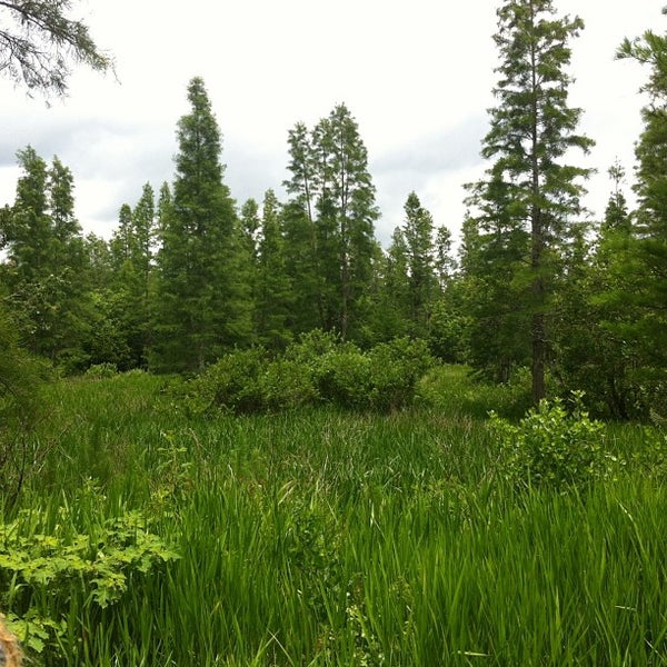 Hilochee Wildlife Management - Hiking Trail