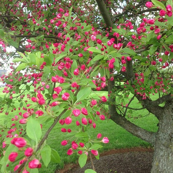 Merck Gate 5 - West Point, PA