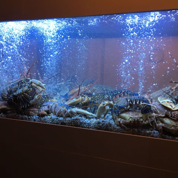 Gambuza - Centro Histórico - 16 tips