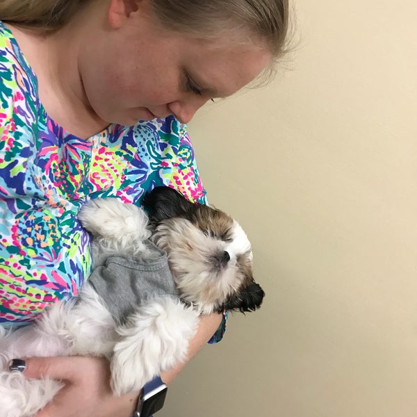 Pender Veterinary Centre - Veterinarian in Fairfax